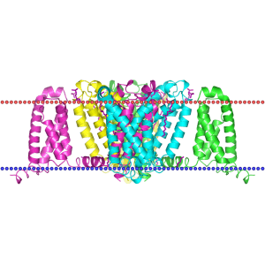 Nav1.7 For Treatment Of Pain | Nav1.7 Against Pain | Pain Relief Therapy